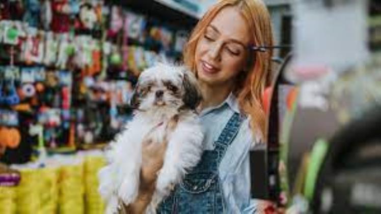 pinterest app | pinterest login | pinterest download | pinterest app ...